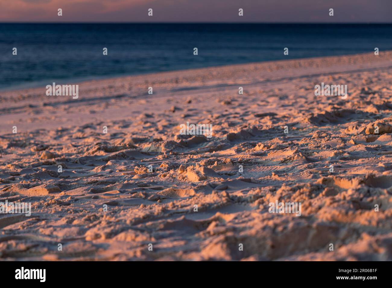 Sunset on Wilson Island, Great Barrier Reef, Queensland Australia Stock ...