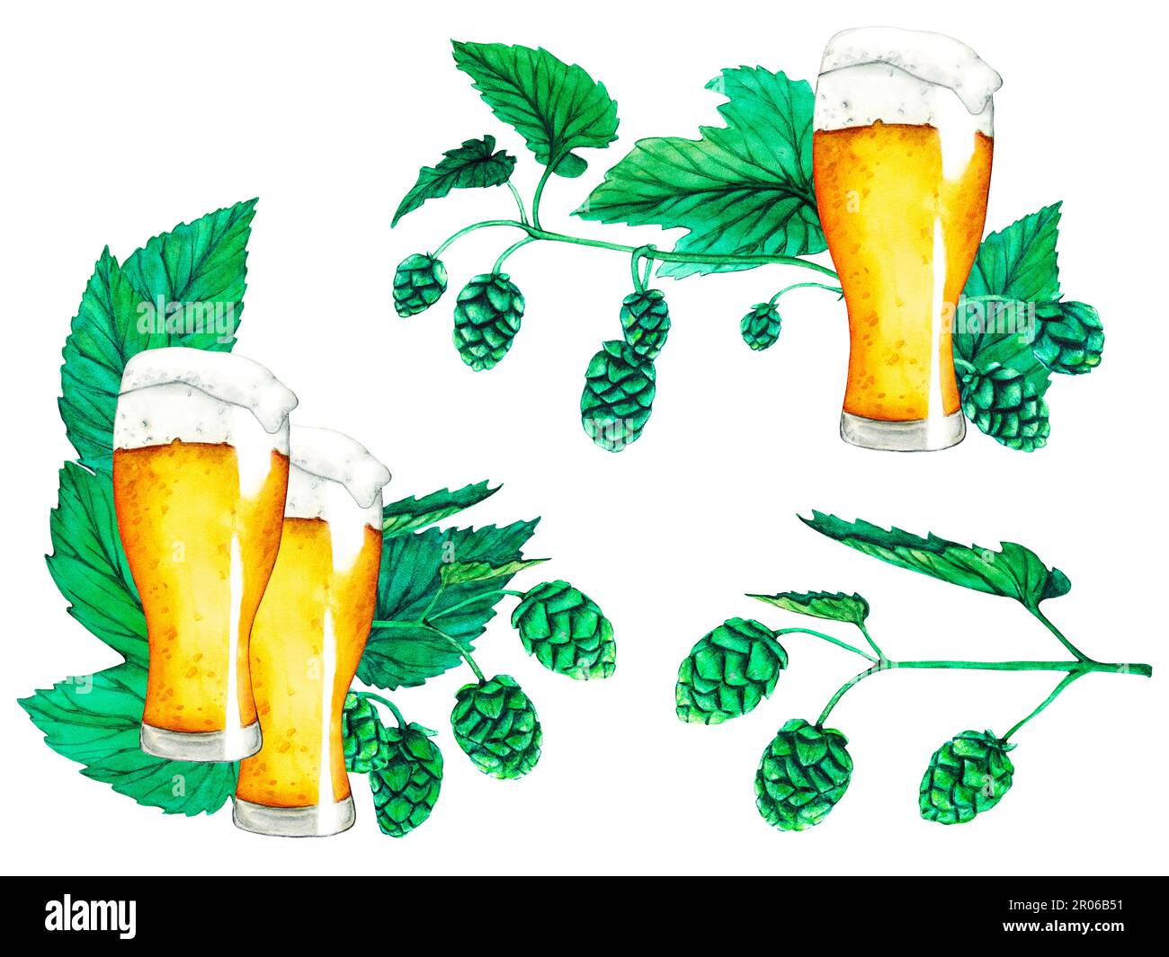 Set of compositions from glasses of beer, hop and leaves. Watercolor ...