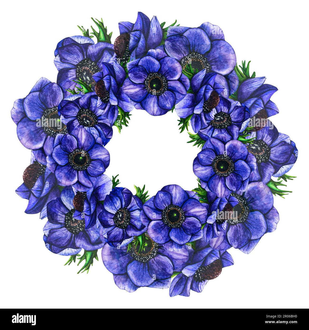 Hand drawn watercolor wreath flowers violet anemone on white background ...