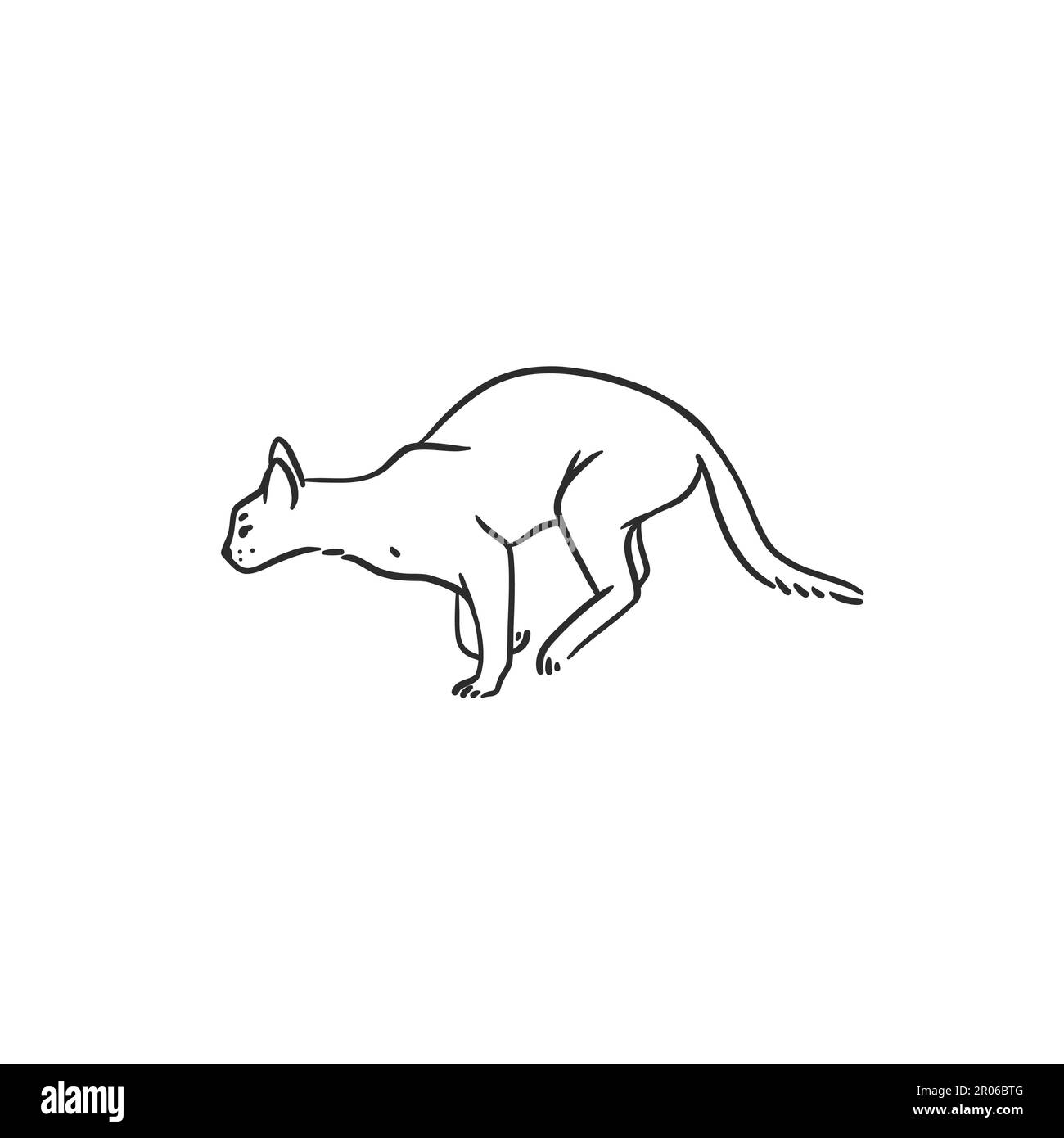 Hand drawn vector abstract graphic line art collection with adorable ...