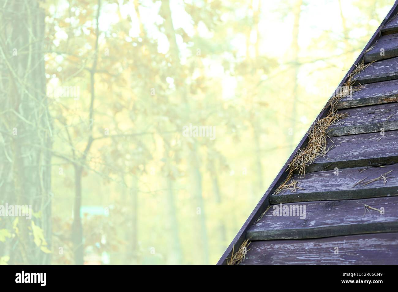 Part of a wooden rural roof and a yellow pale forest background for ...