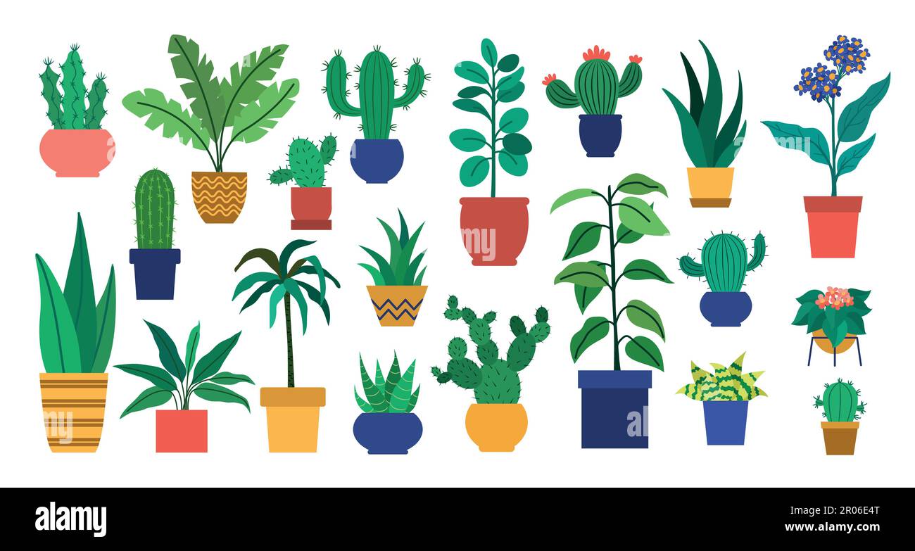 Big plants Cut Out Stock Images & Pictures - Alamy