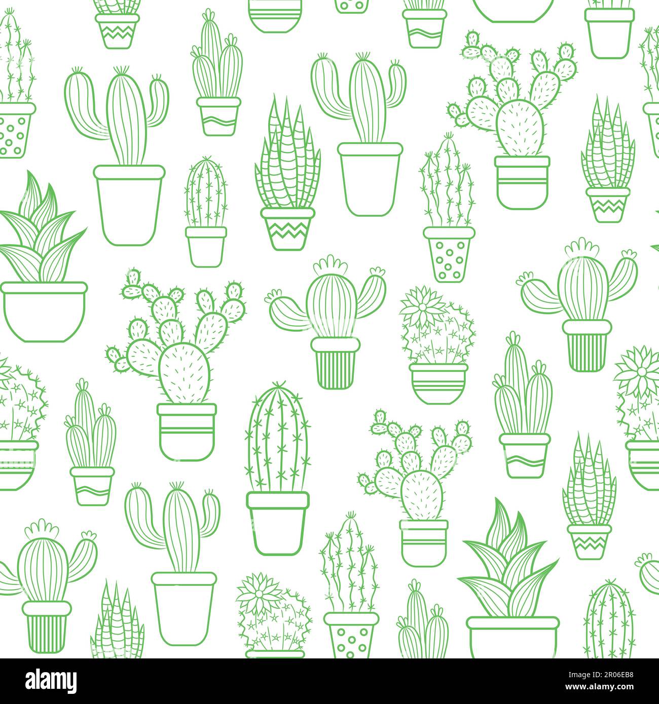 Cacti in blossom Cut Out Stock Images & Pictures - Alamy