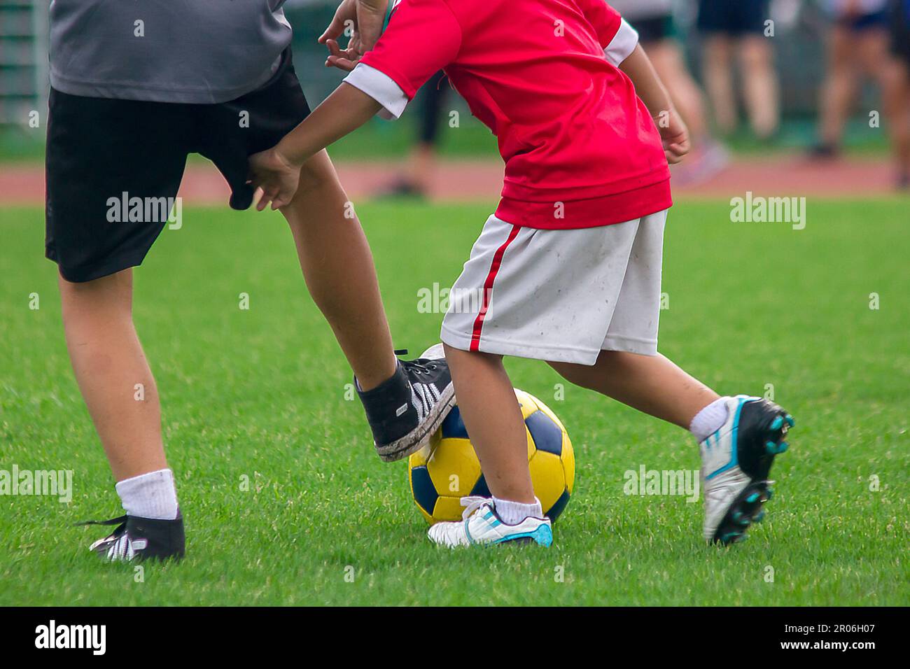 Kids legs field hi-res stock photography and images - Alamy