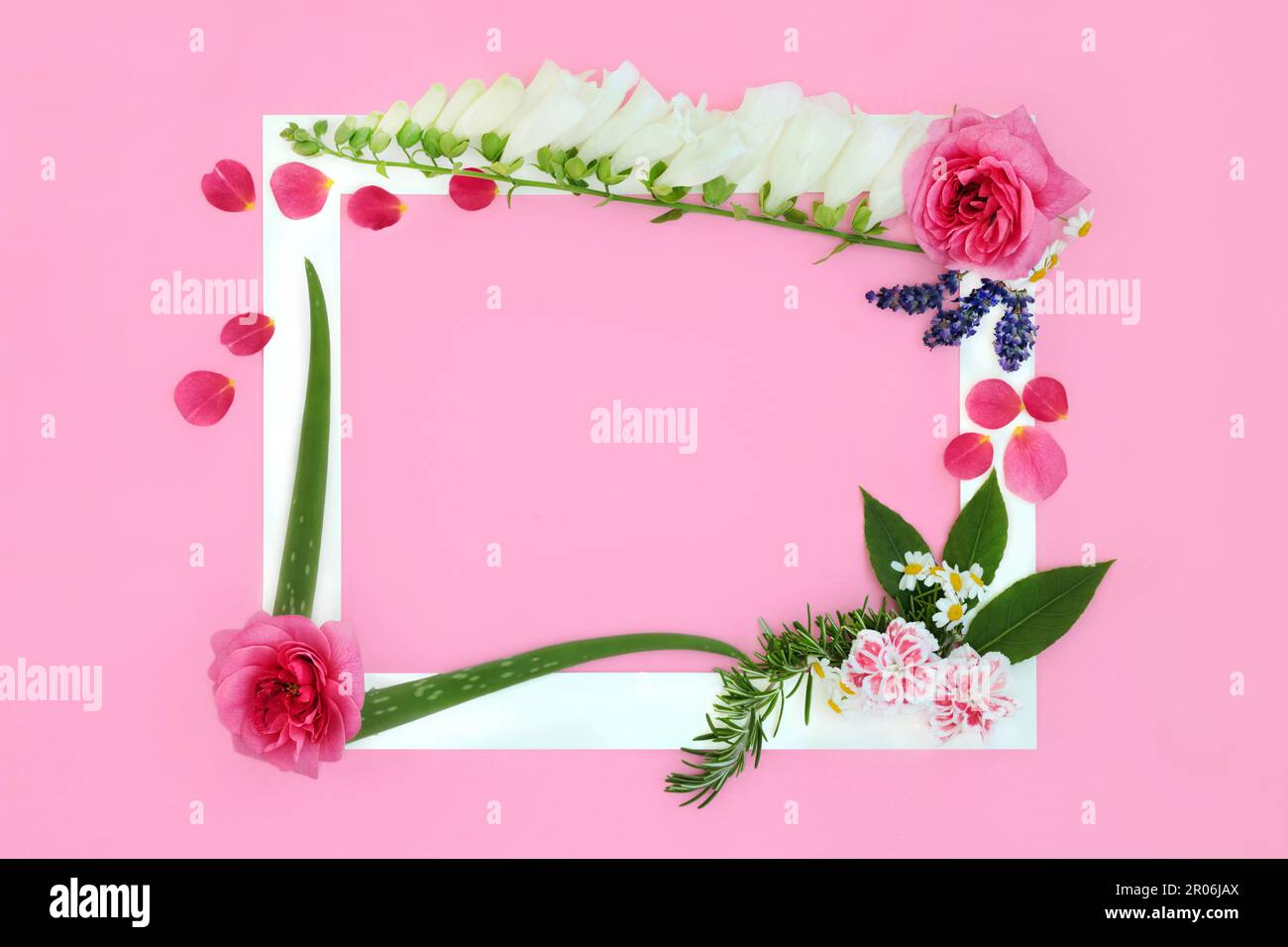 Flowers, herbs and wildflowers used in homeopathic and naturopathic ...