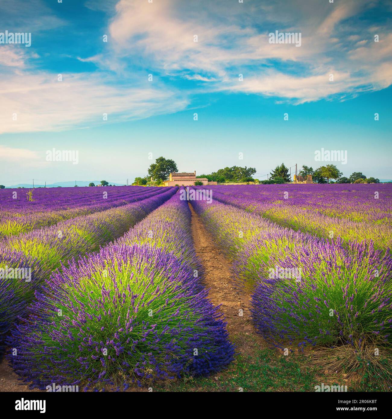Valensole france hi-res stock photography and images - Alamy