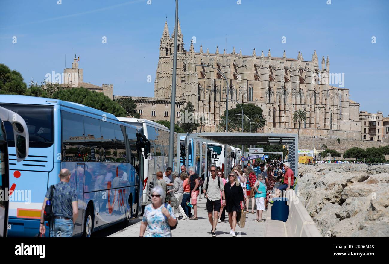 Tui 2023 hi-res stock photography and images - Alamy