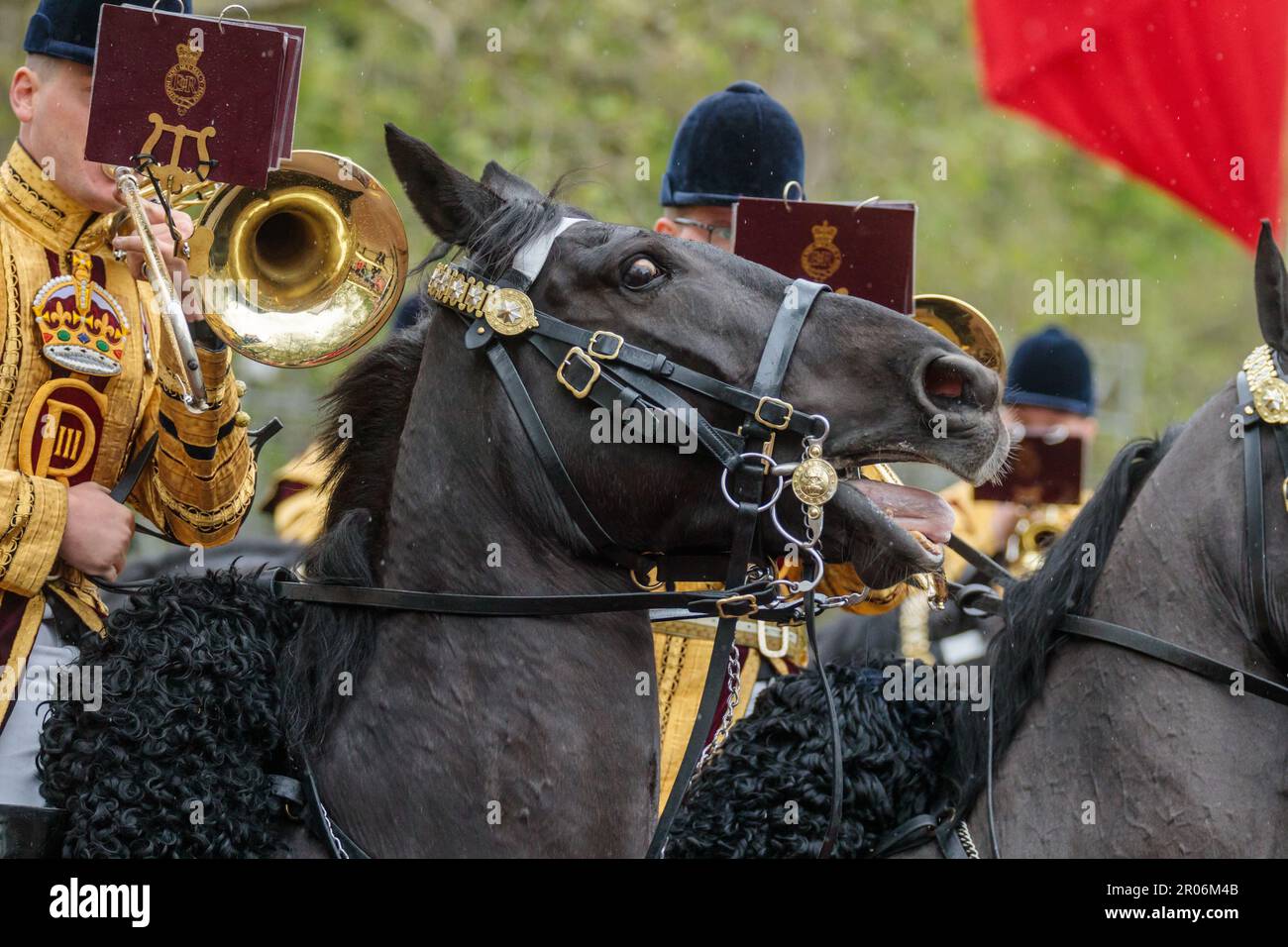 The Mall, London, UK. 6th May 2023. A mounted horse is startled by ...