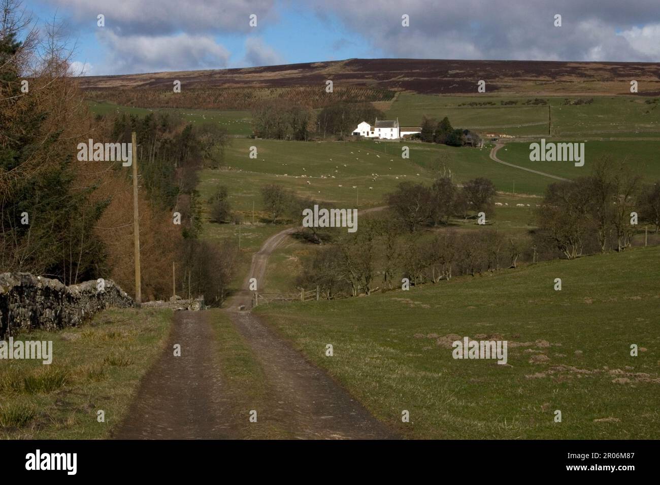 path leading to Pallet Stone near Egglestone, Teesdale Valley, England ...