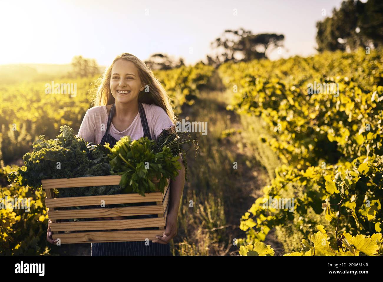 Making strides in the farming industry. a young woman holding a crate ...