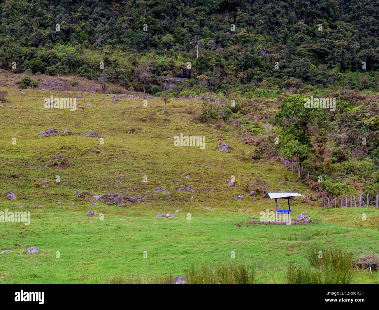 A blue trough for cattle, with a tin roof, stands in a grassland near a ...