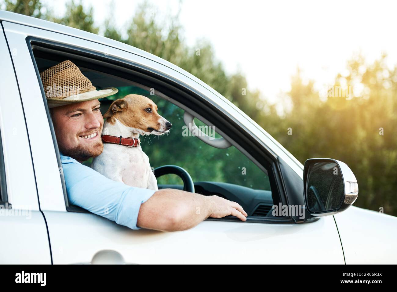 Stopping to enjoy the scenic views. a man and his dog driving in the ...