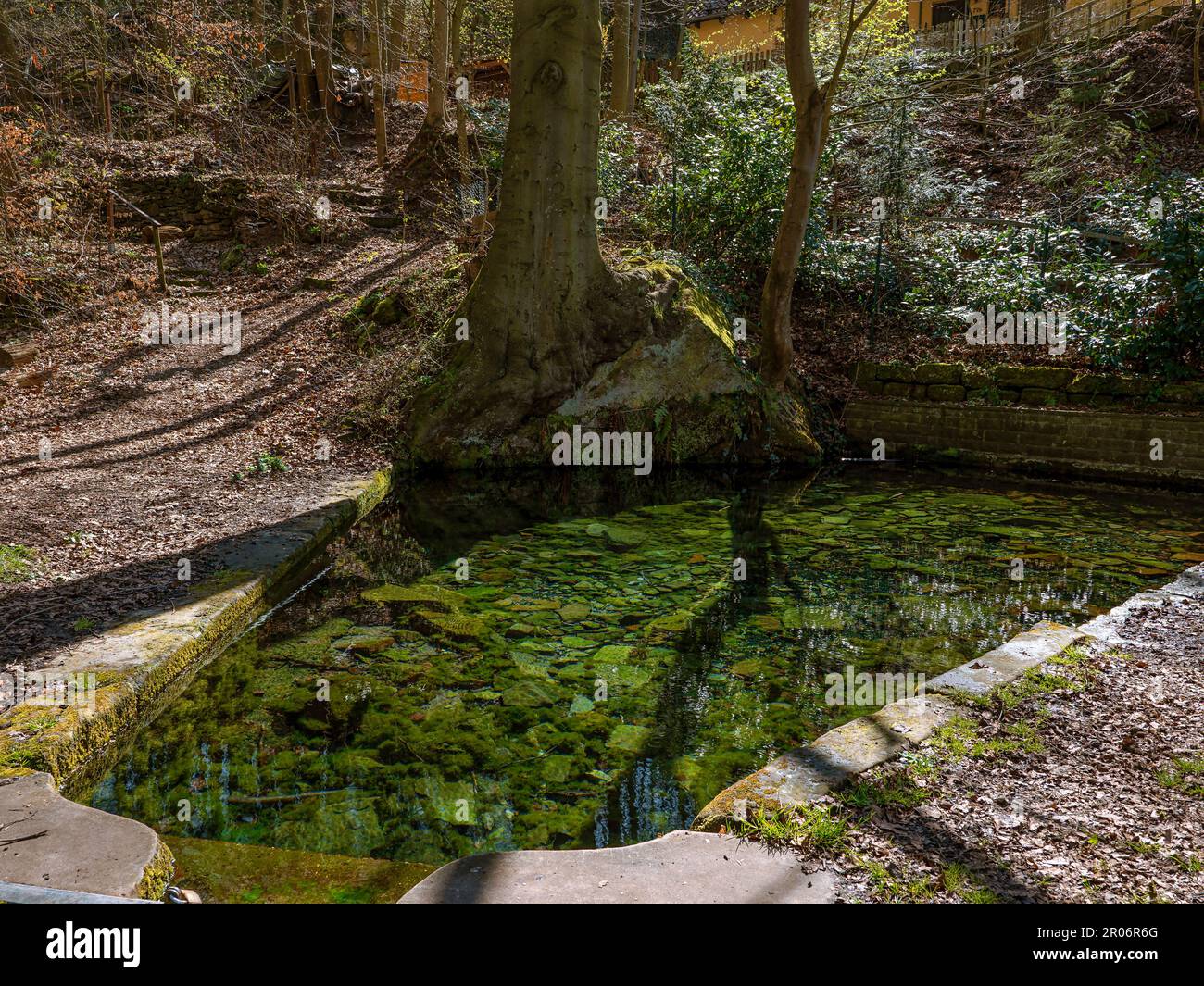 Mariaspring hi-res stock photography and images - Alamy