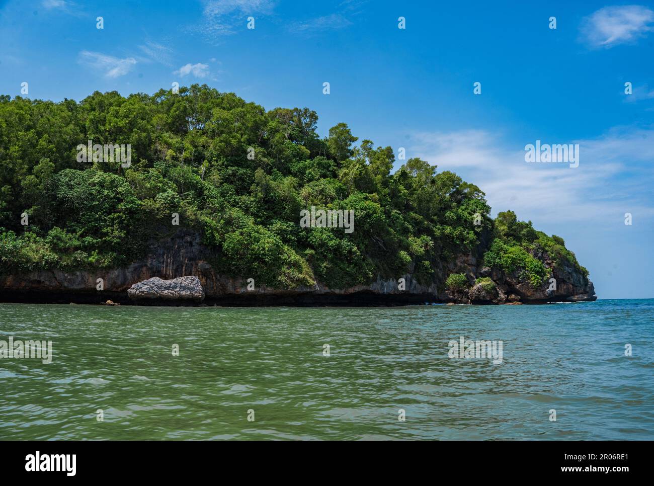 Exploring Forest on the rock in Tanjung Kasap or Cape Kasap, Pacitan ...