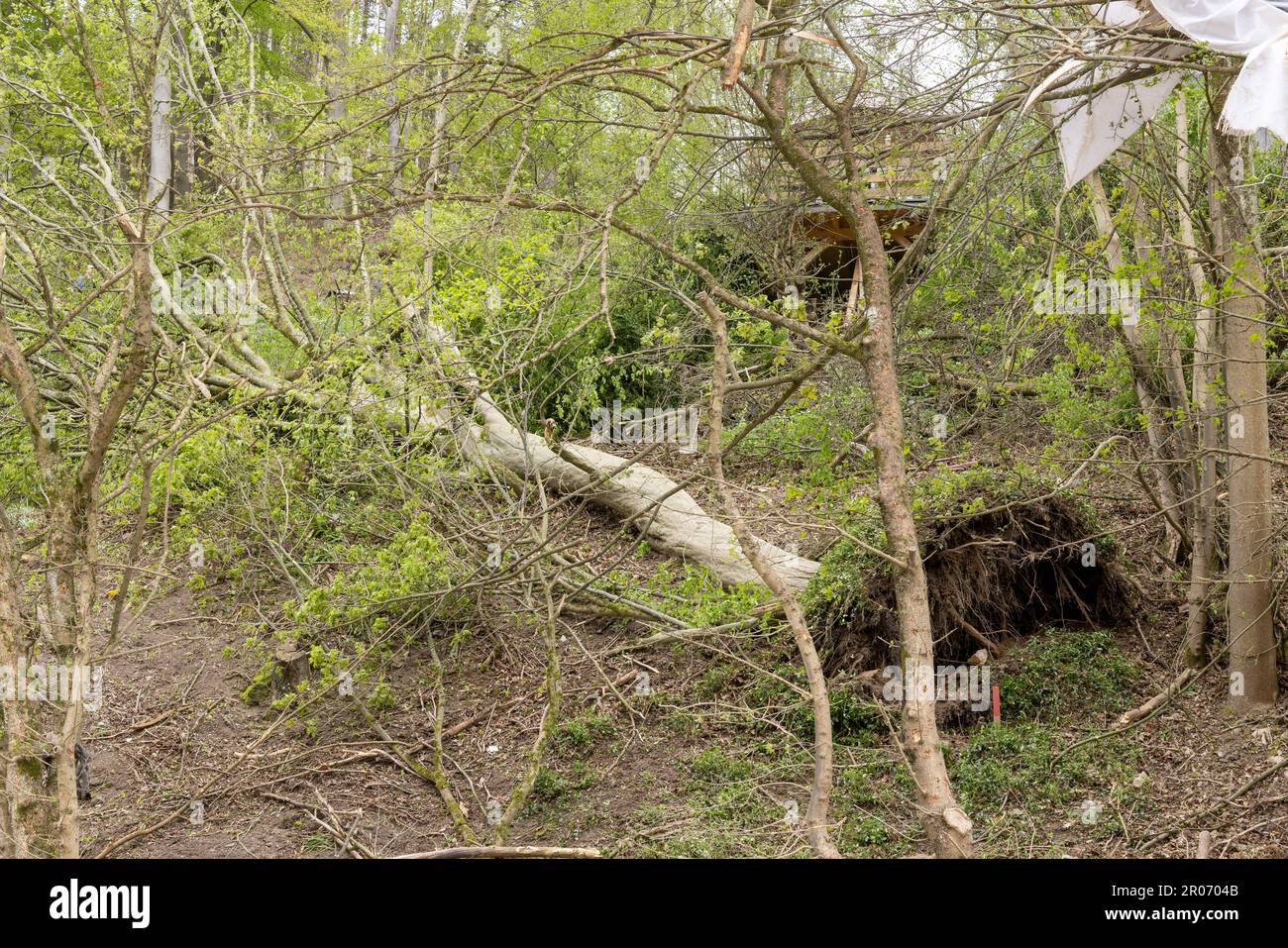 07 May 2023, North Rhine-Westphalia, Lüdenscheid: After the successful ...