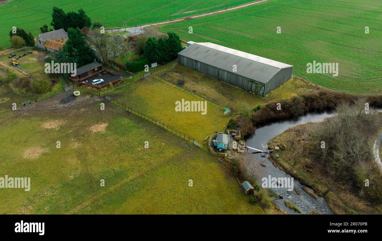 river and houses in the forest. horse farm house by the river Stock ...