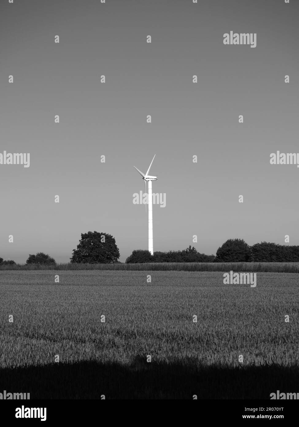 A stunning landscape with a rustic windmill in a golden field of crops ...