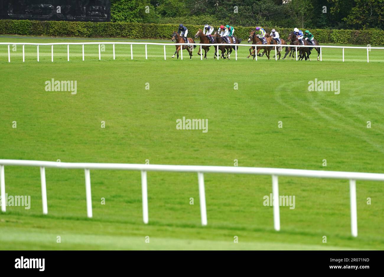 Runners and riders in the Captain Dara Fitzpatrick Memorial Maiden ...