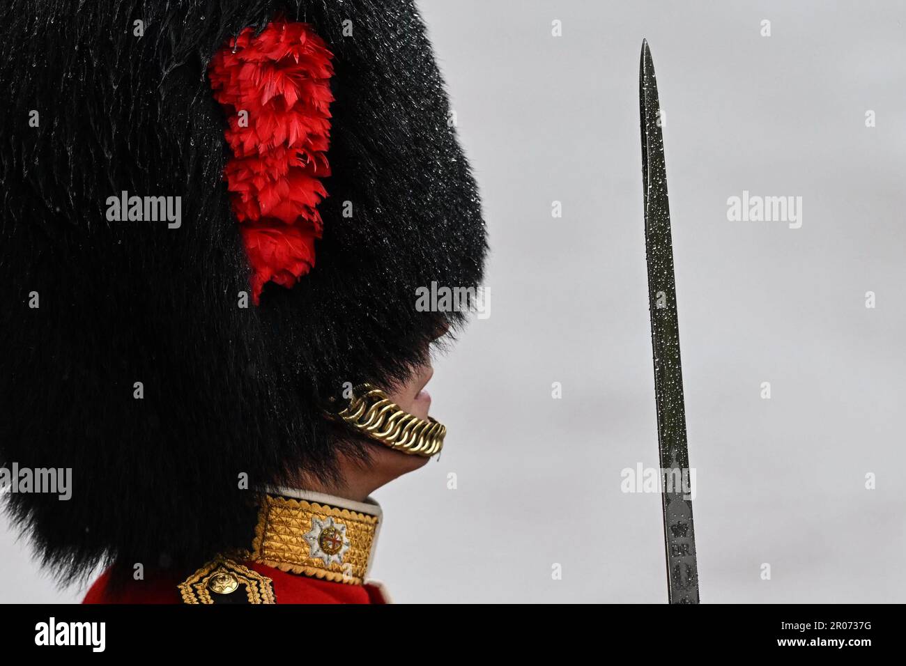 A guard with his hat wet stands guard along the Mall in central London ...