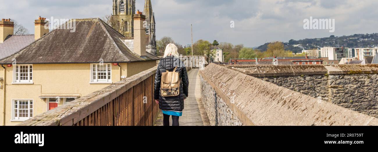 View from Fort Elizabeth Dun Elise with Saint Fin Barre's Cathedral in ...
