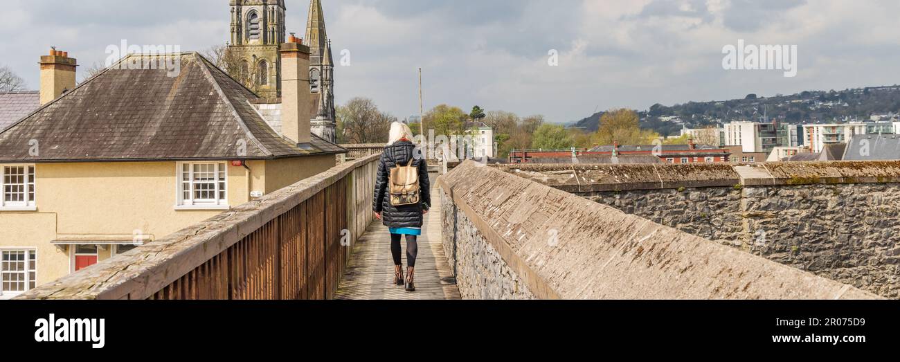 View from Fort Elizabeth Dun Elise with Saint Fin Barre's Cathedral in ...