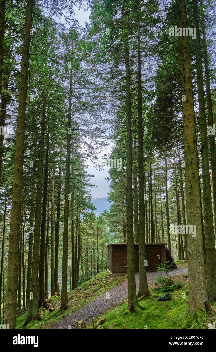 Wildlife hide on the Wow Trail at Whinlatter Forest Park near Keswick ...