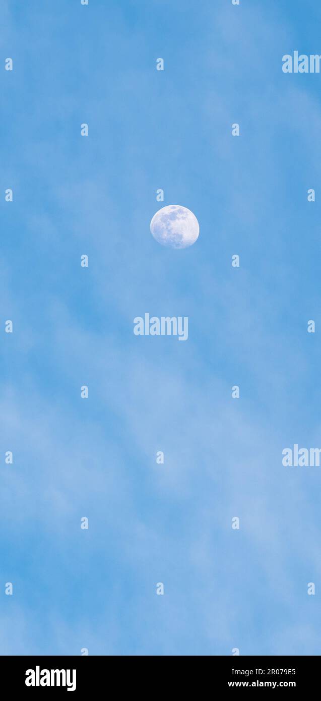 Night photography captured a sky full of stars in the Wadi Rum desert ...