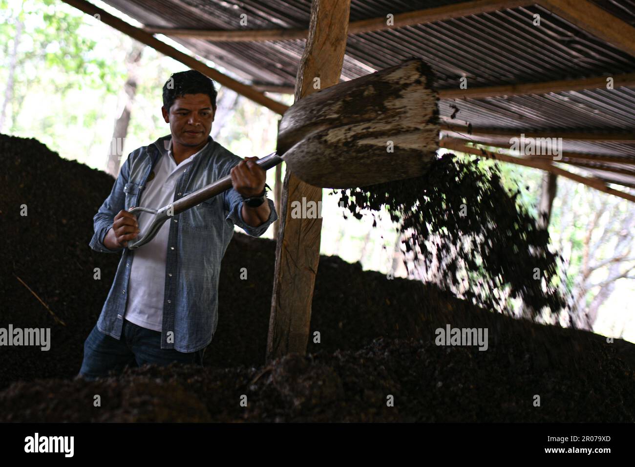 Marcala, Honduras. 6th May, 2023. A worker prepares organic fertilizer ...