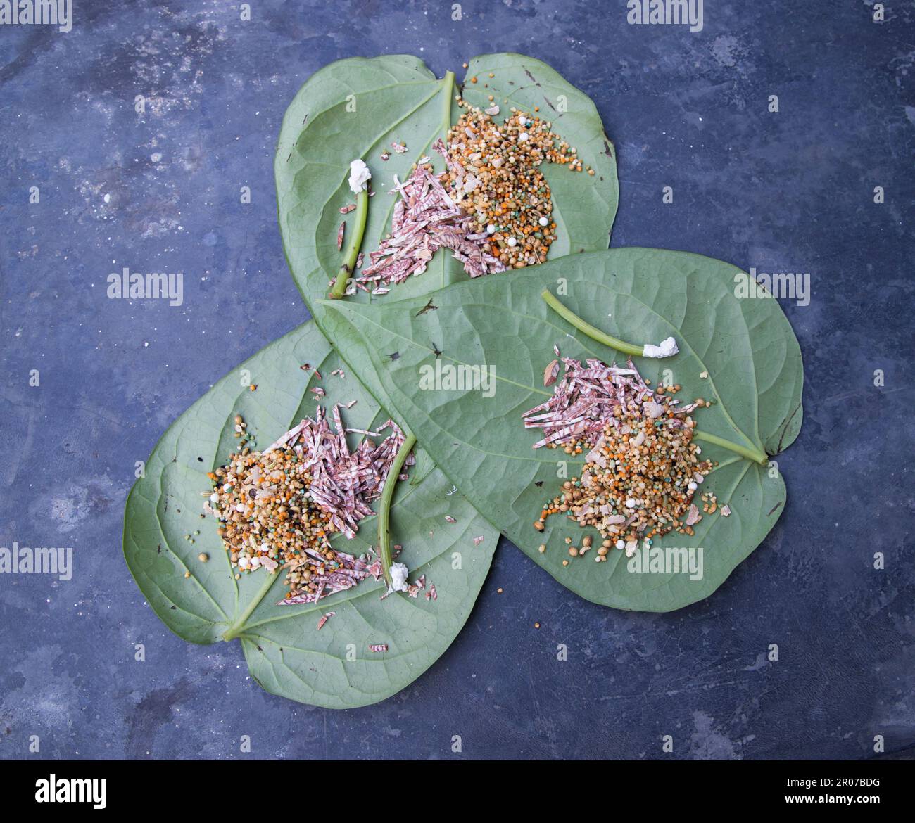 Decoration Green betel Leaf on the concrete floor with betel nut, sweet ...