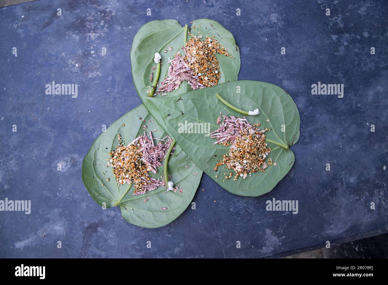 Decoration Green betel Leaf on the concrete floor with betel nut, sweet ...
