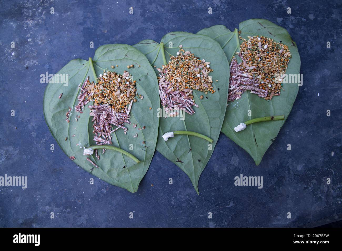 Decoration Green betel Leaf on the concrete floor with betel nut, sweet ...
