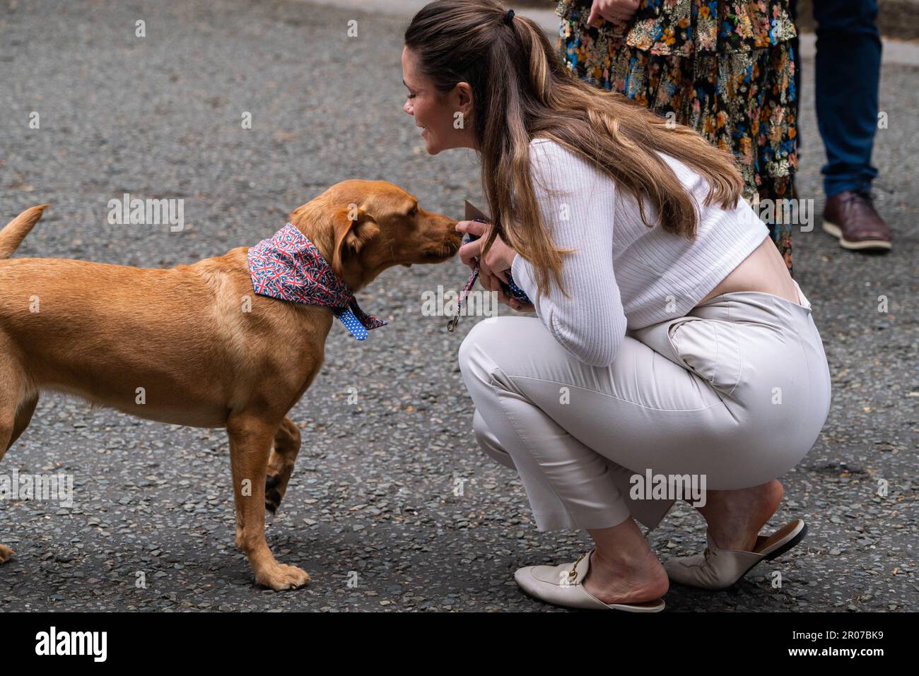 London UK. 7 May 2023. Nova the Sunak family dog is welcomed by a guest ...