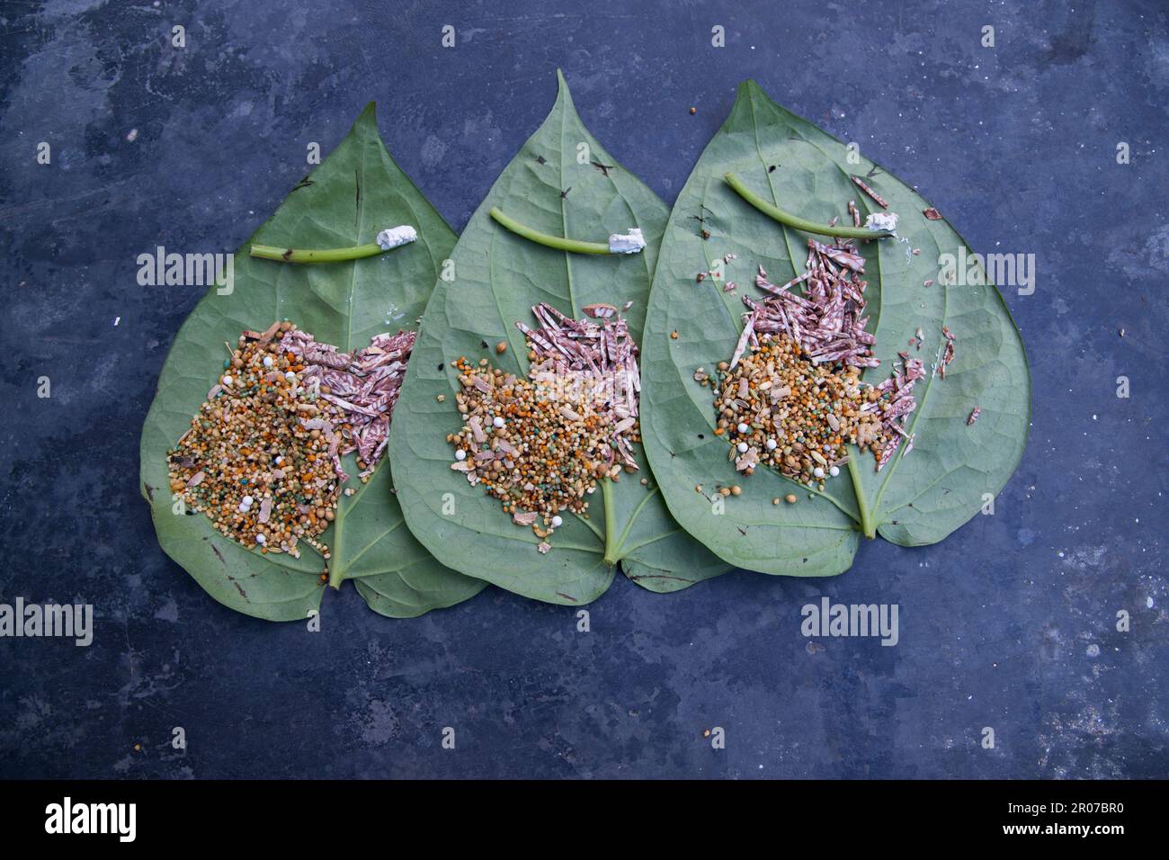 Decoration Green betel Leaf on the concrete floor with betel nut, sweet ...