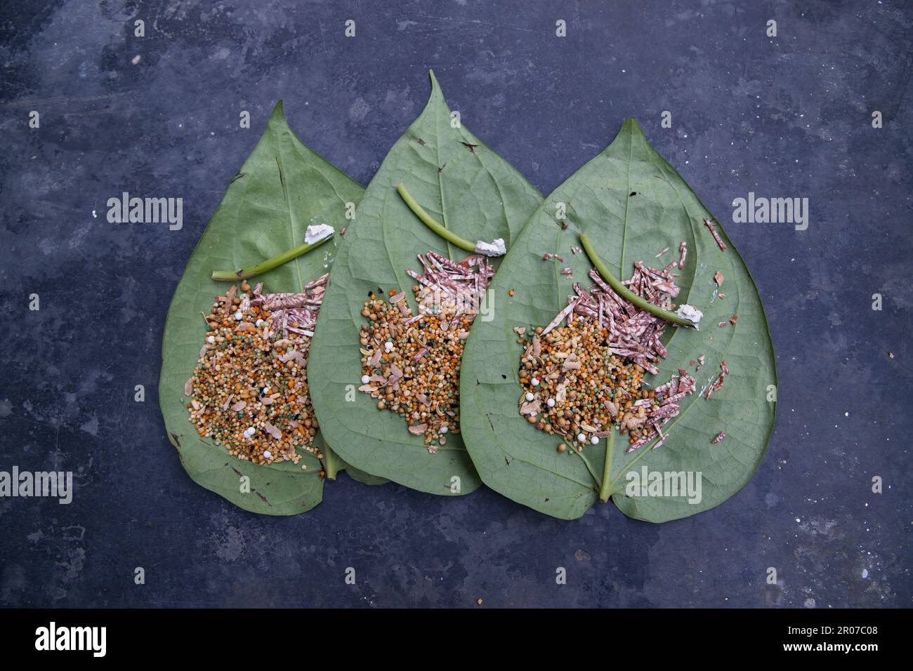 Decoration Green betel Leaf on the concrete floor with betel nut, sweet ...