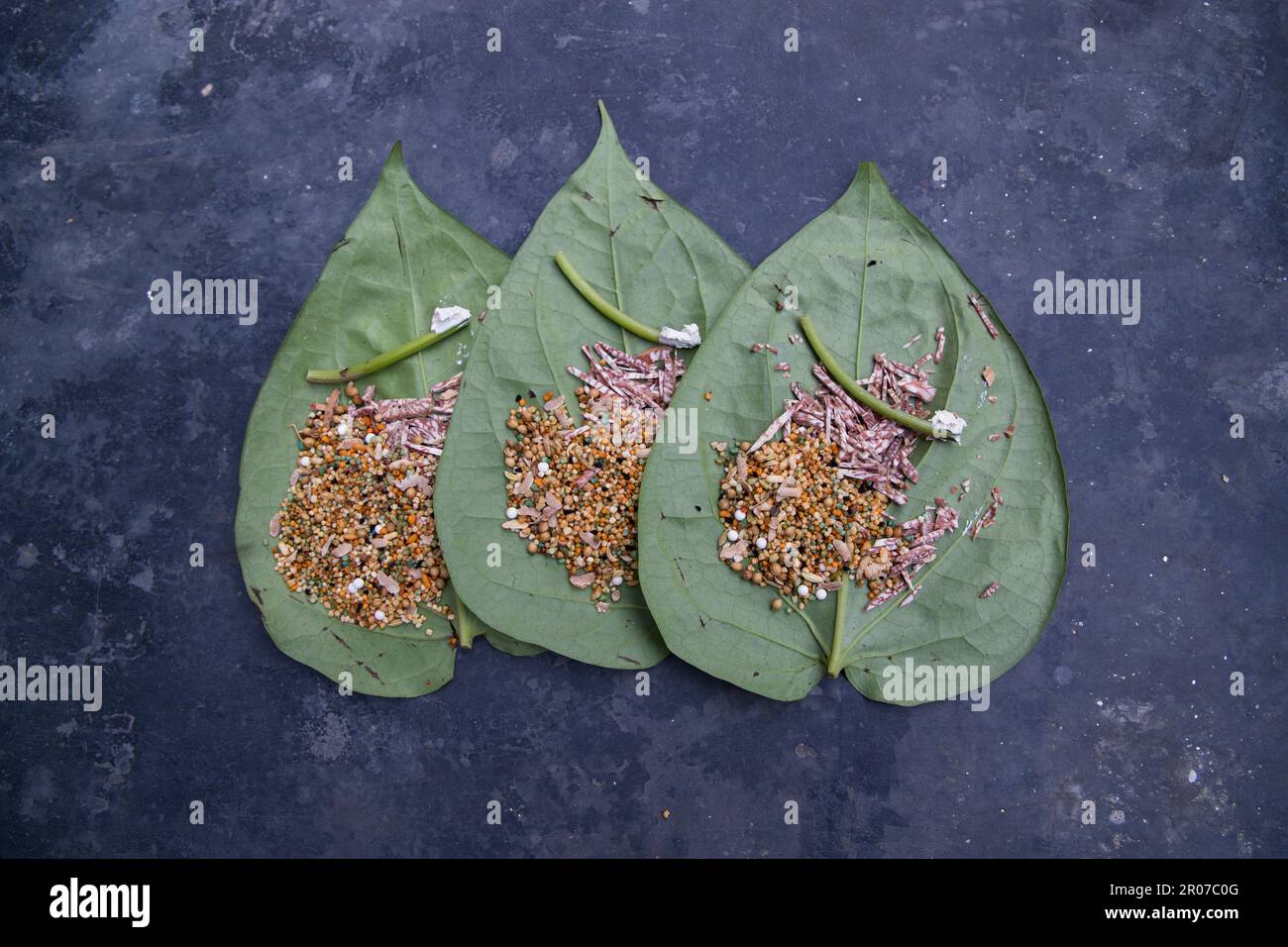 Decoration Green betel Leaf on the concrete floor with betel nut, sweet ...