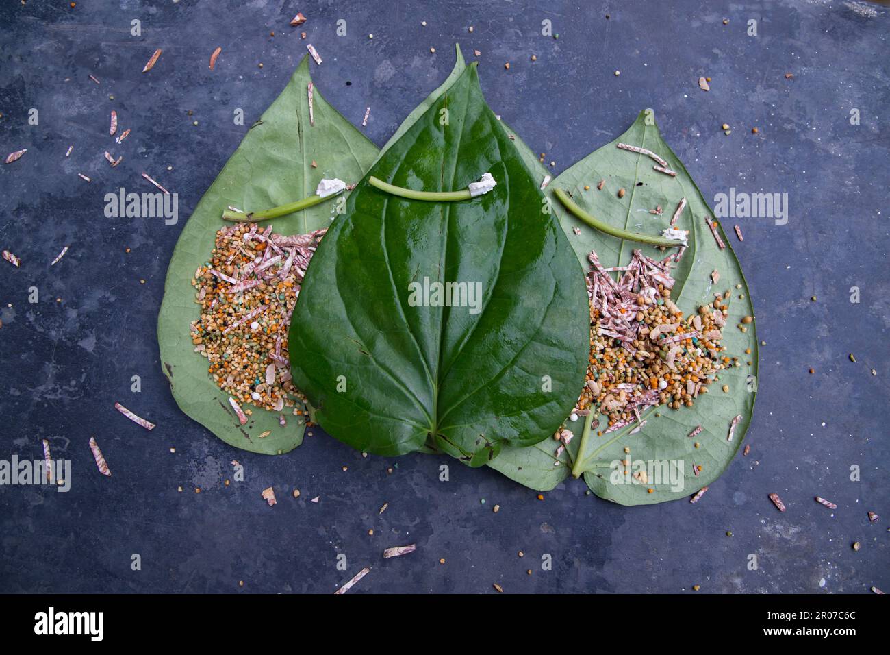 Decoration Green betel Leaf on the concrete floor with betel nut, sweet ...