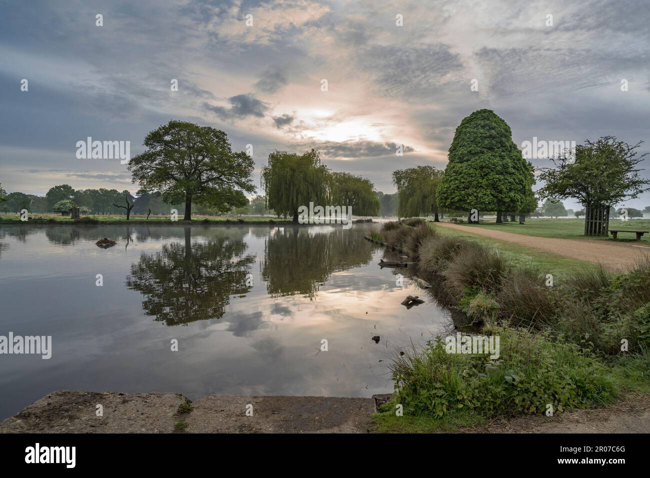 Walk around Bushy park in Surrey early morning is like walking around ...