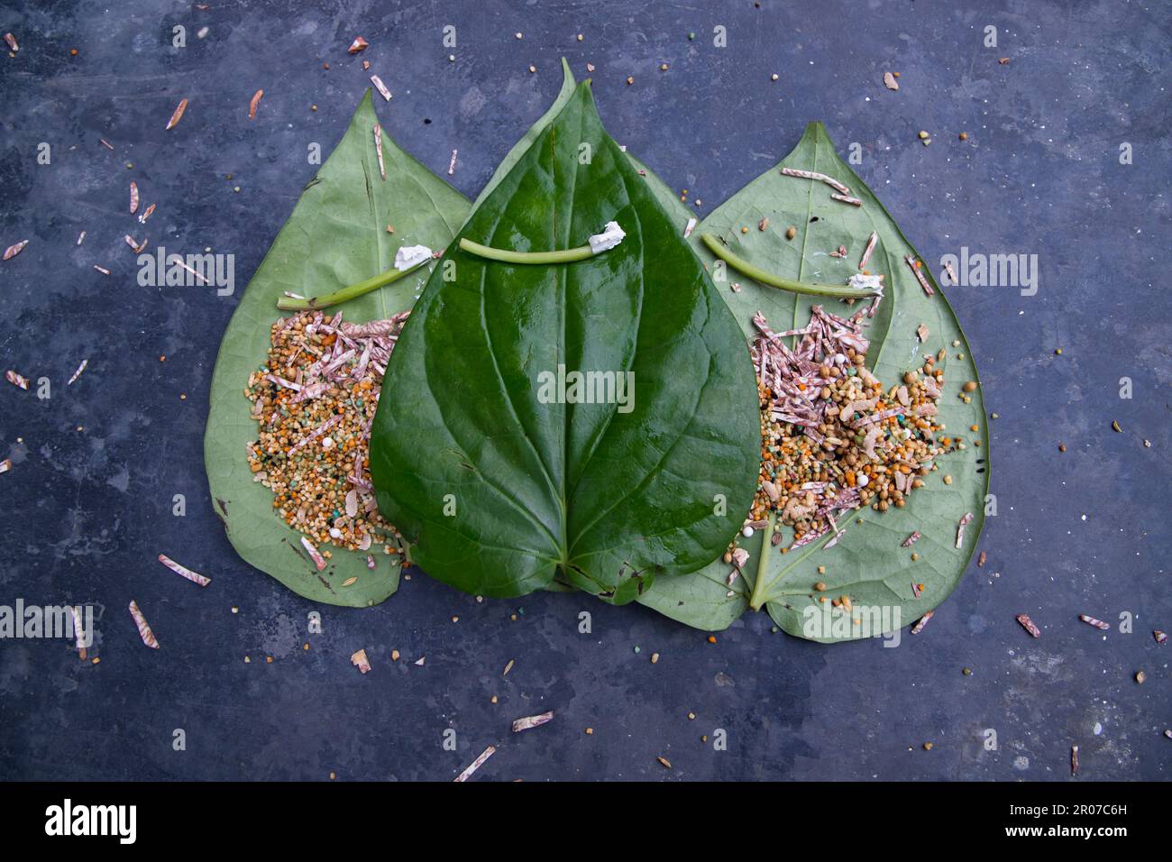 Decoration Green betel Leaf on the concrete floor with betel nut, sweet ...
