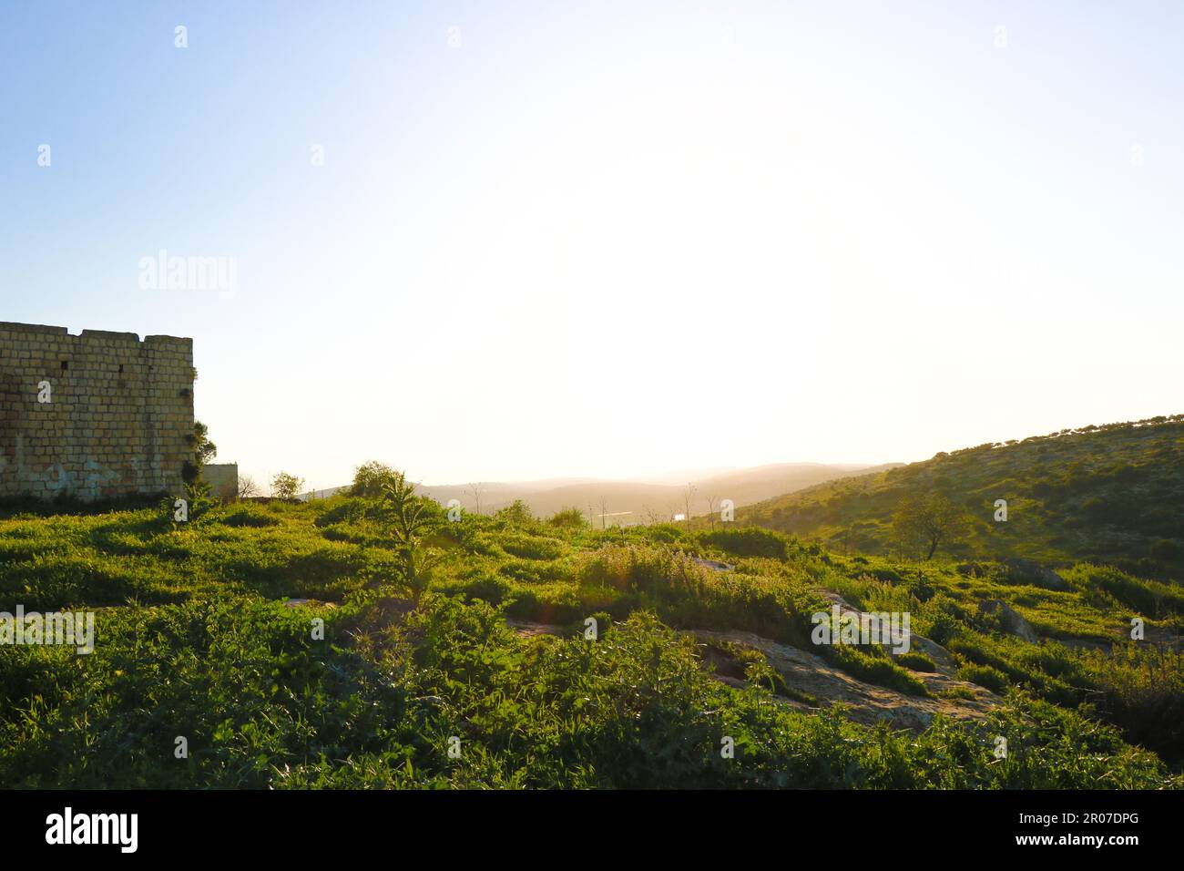 Palestine vector hi-res stock photography and images - Alamy