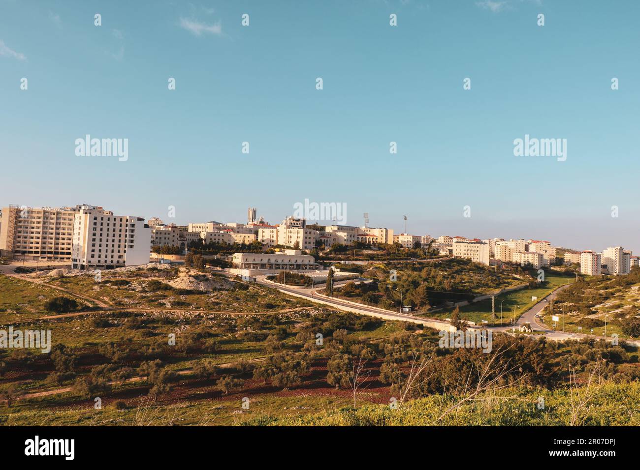 Palestine vector hi-res stock photography and images - Alamy
