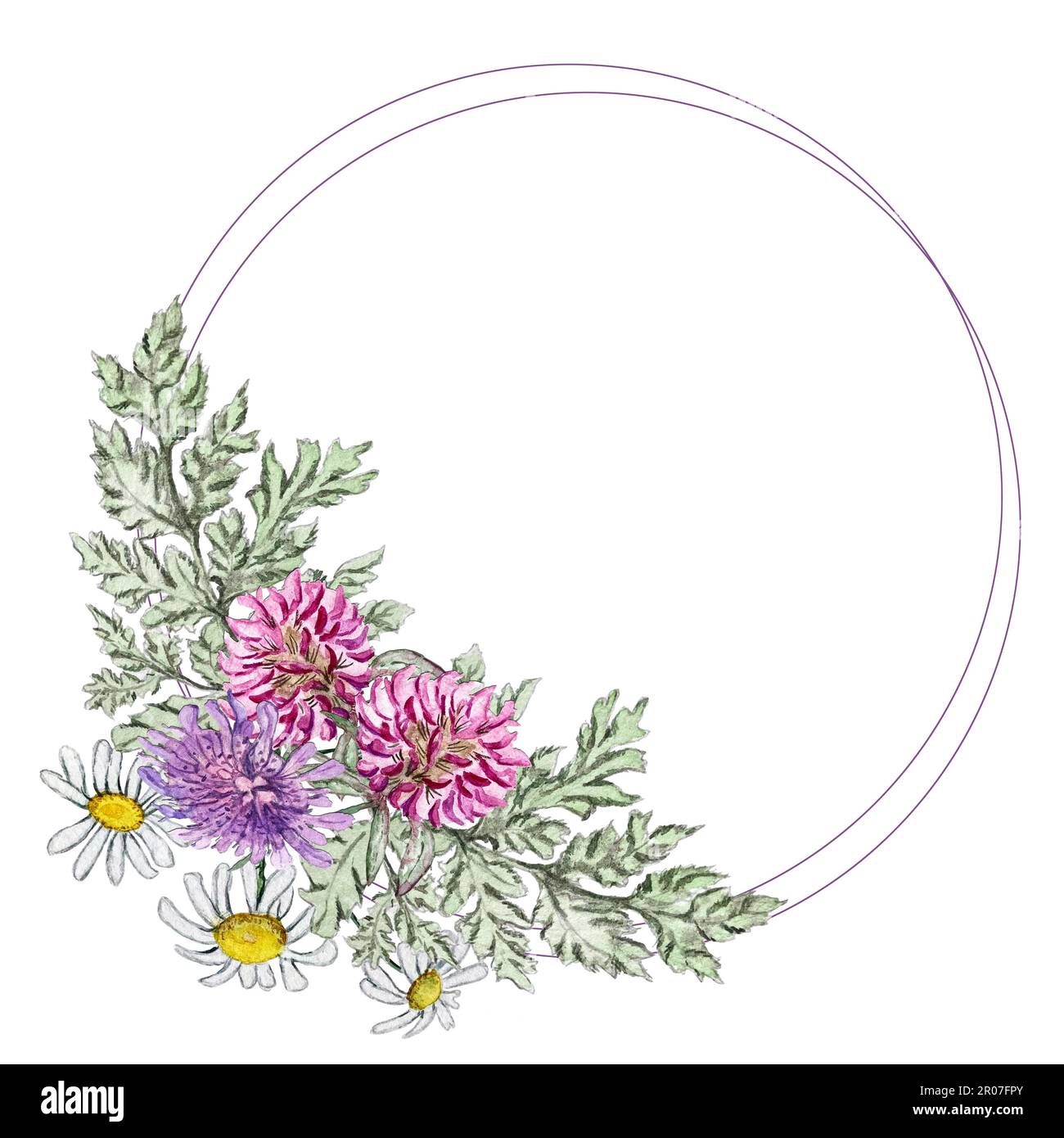 June flower border plant Cut Out Stock Images & Pictures - Alamy