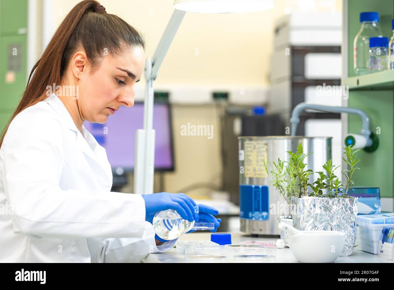 Female laboratory researcher developing or researching a new bio ...
