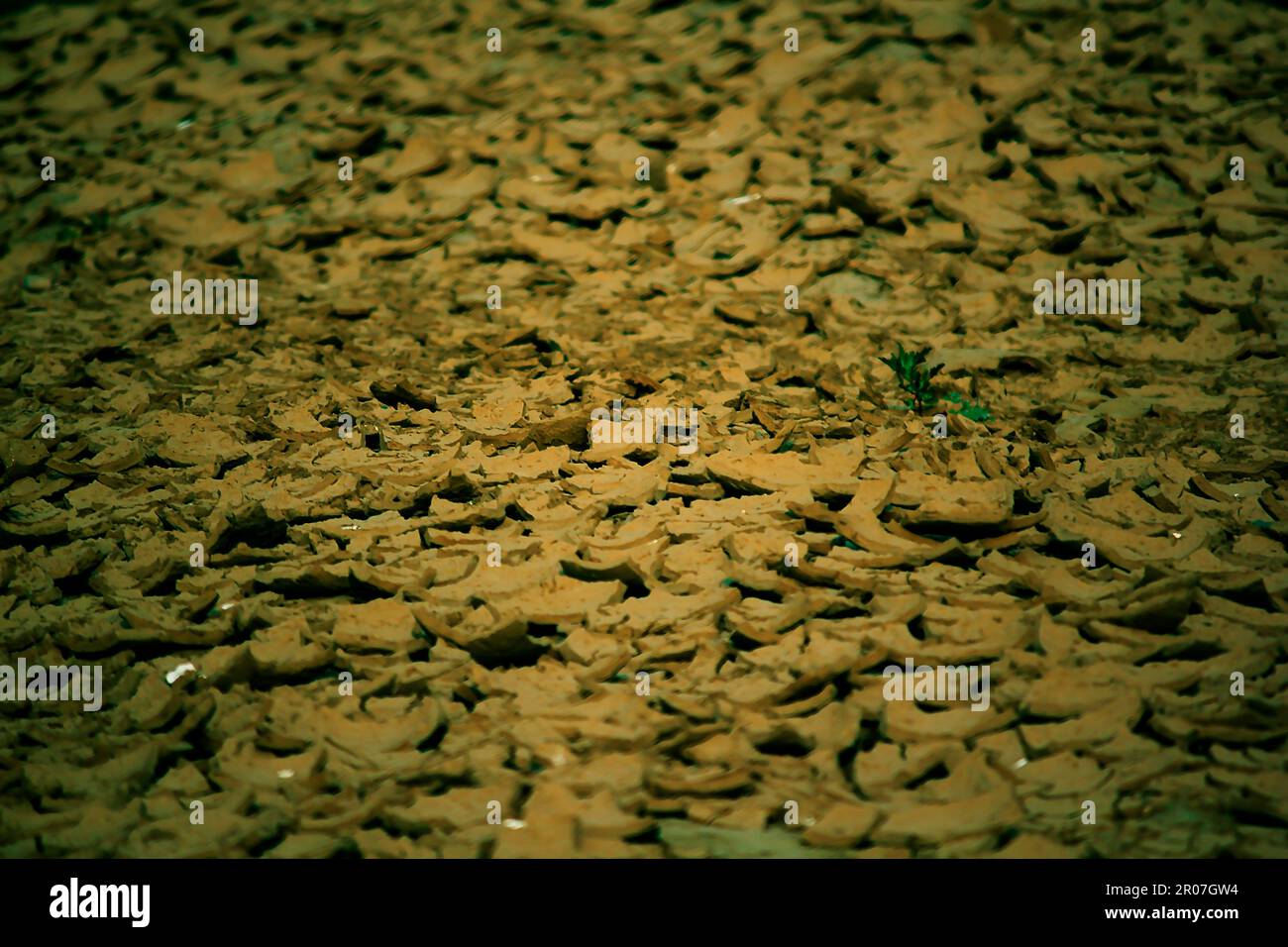 The ground is dry from drought Stock Photo - Alamy