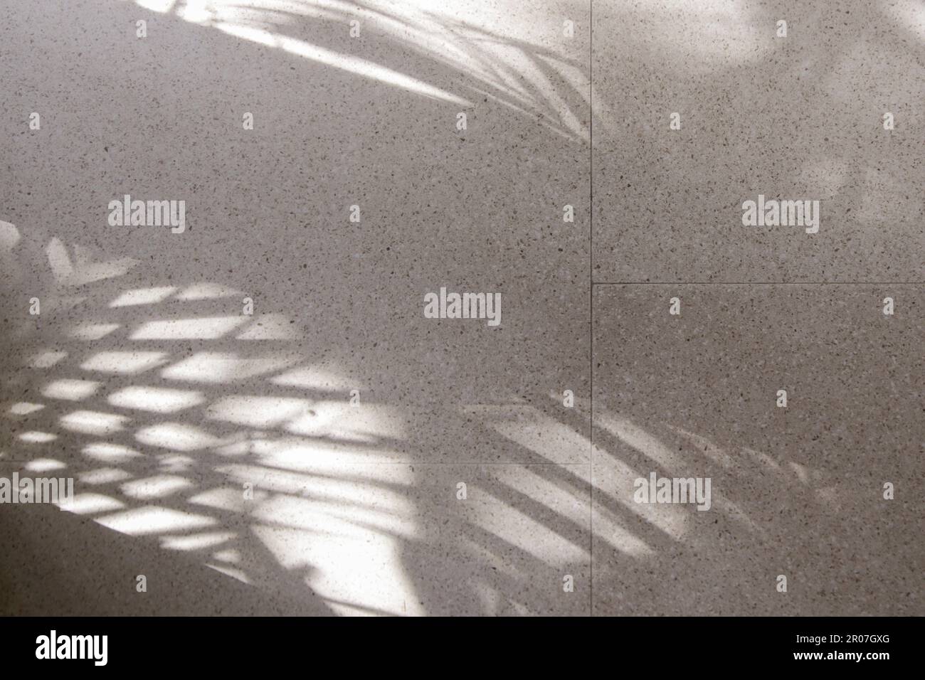 Palm tree shadow on concrete hi-res stock photography and images - Alamy