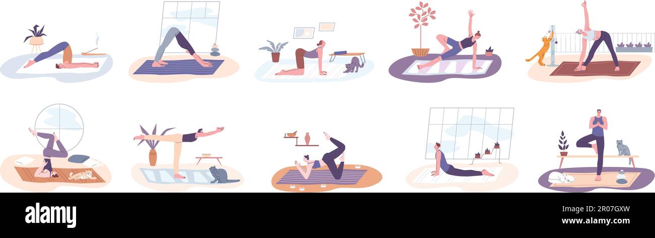 Happy yoga practice, workout at home. Funny aerobic exercise with cats ...