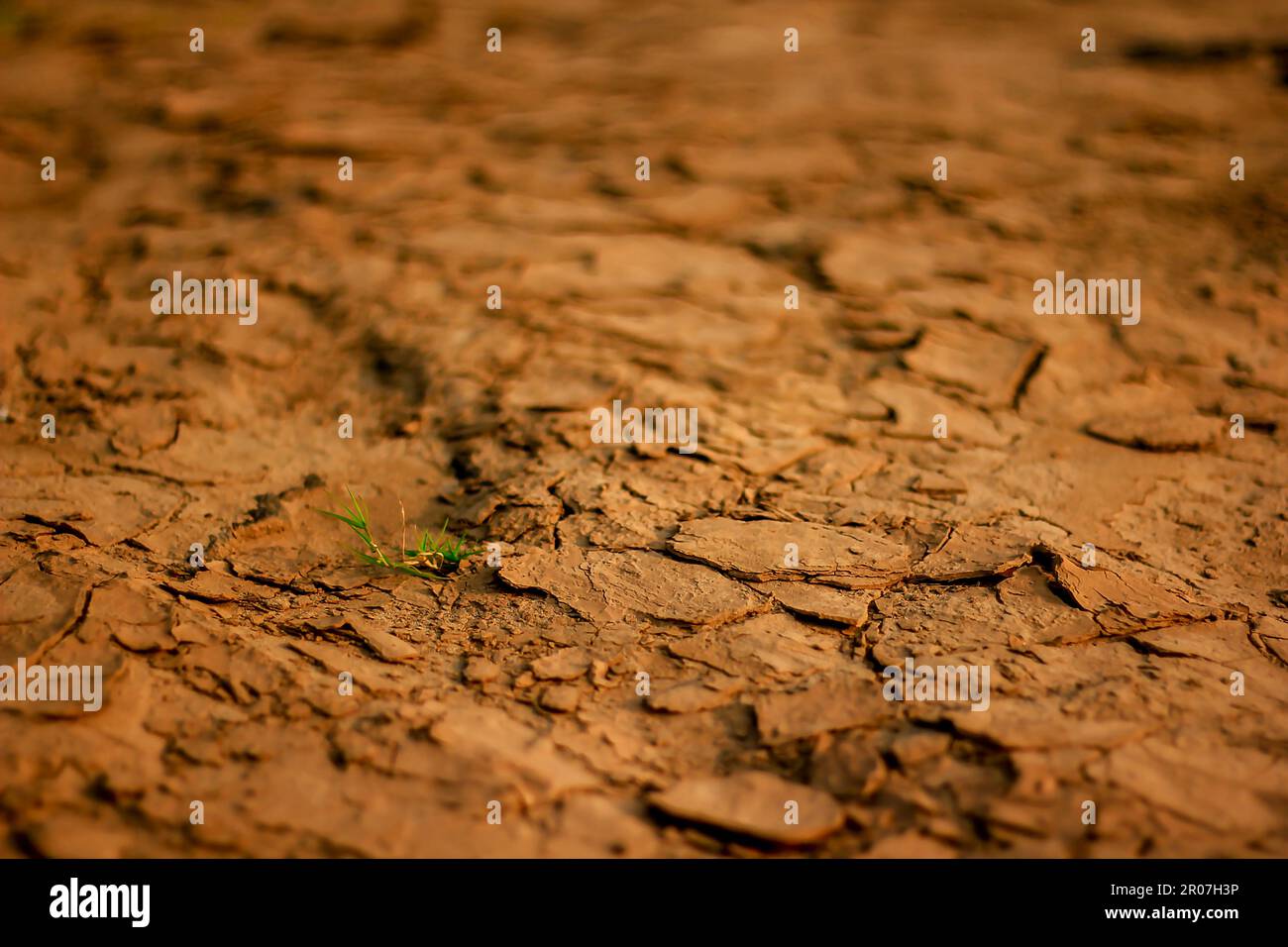 The ground is dry from drought Stock Photo - Alamy
