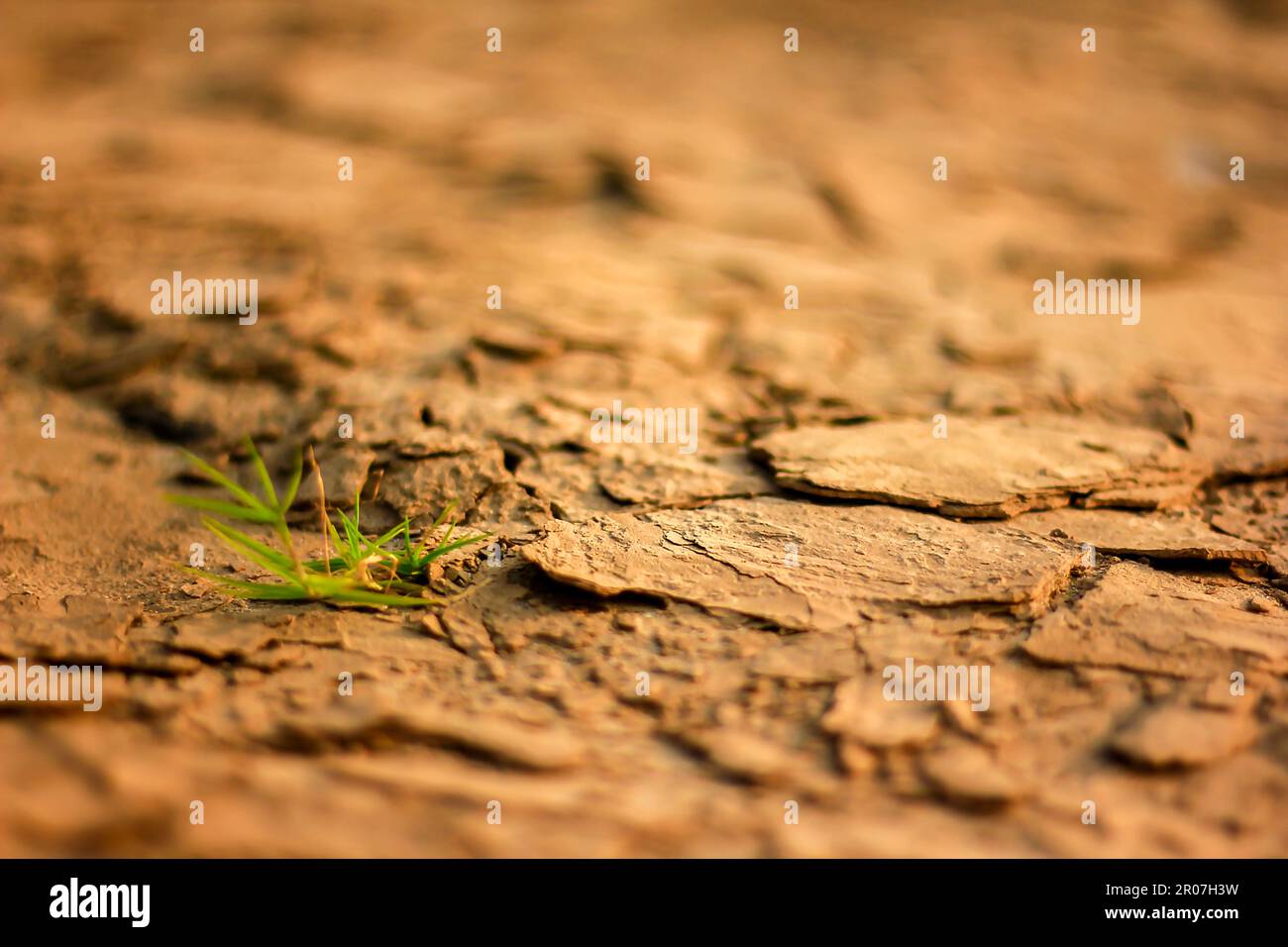 The ground is dry from drought Stock Photo - Alamy