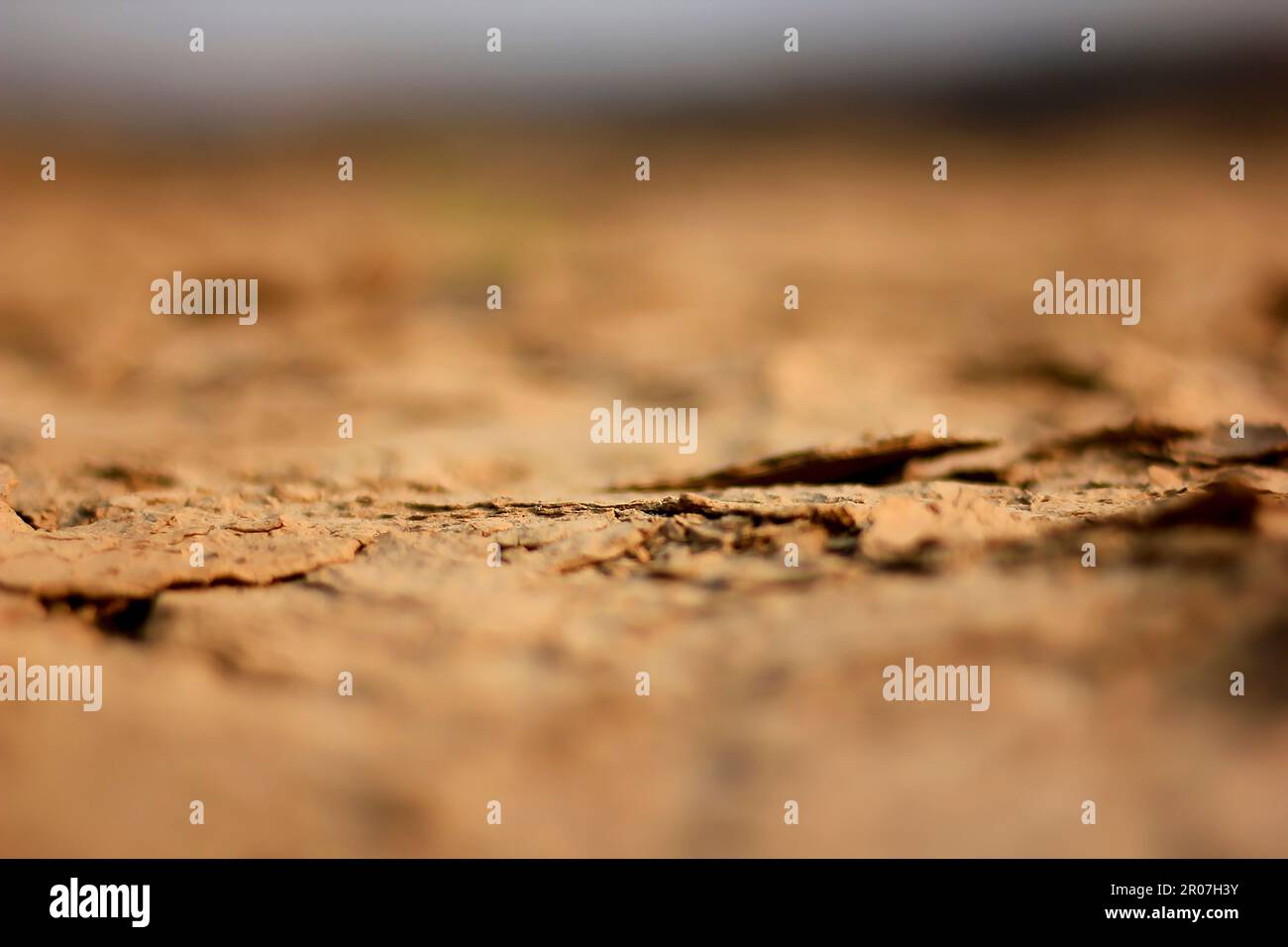 The ground is dry from drought Stock Photo - Alamy