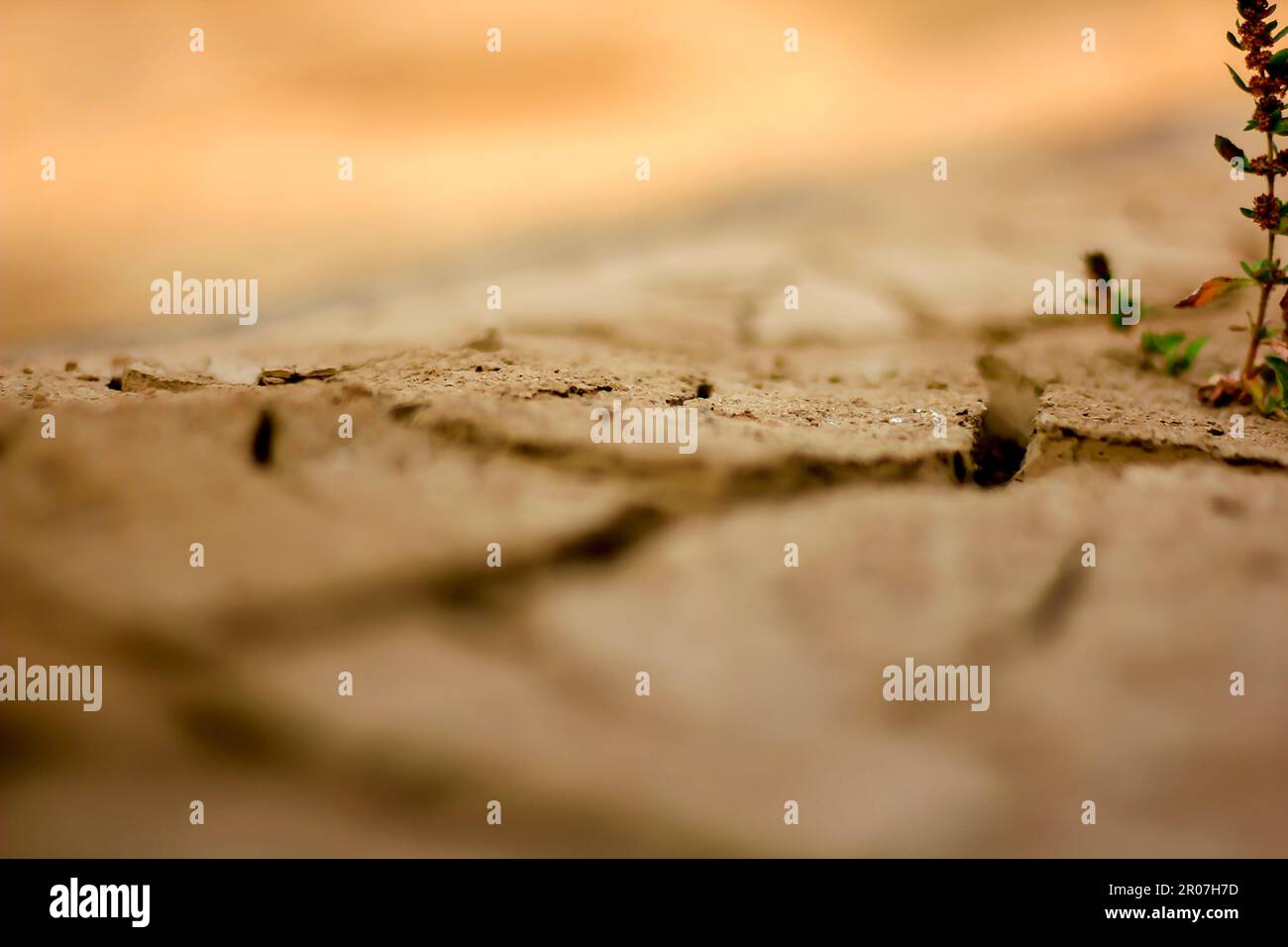 The ground is dry from drought Stock Photo - Alamy