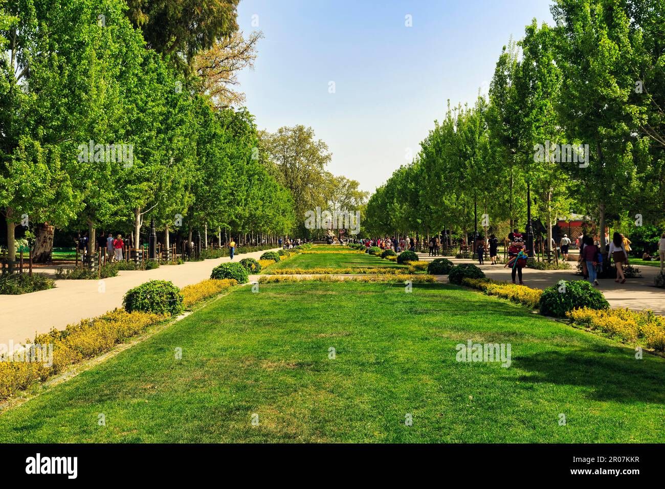 Retiro Park in spring, green space and paths, Parque del Retiro, Madrid ...